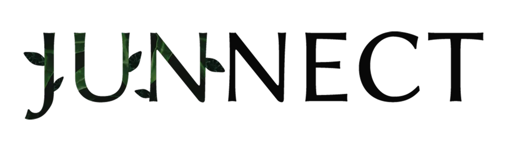 Introducing Junnect as a partner at Stape